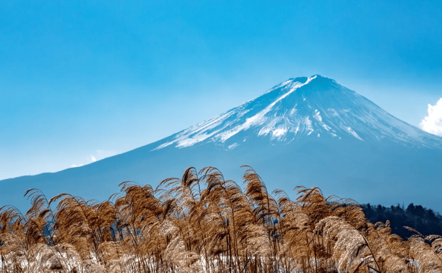 【Mount Fuji Summit Climbing Guide 2024】Mount Fuji Opens in July! New ...
