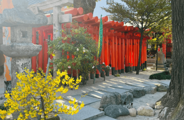 [Must-Visit Shrine in Fukuoka, Japan] Need to boost your love luck ...